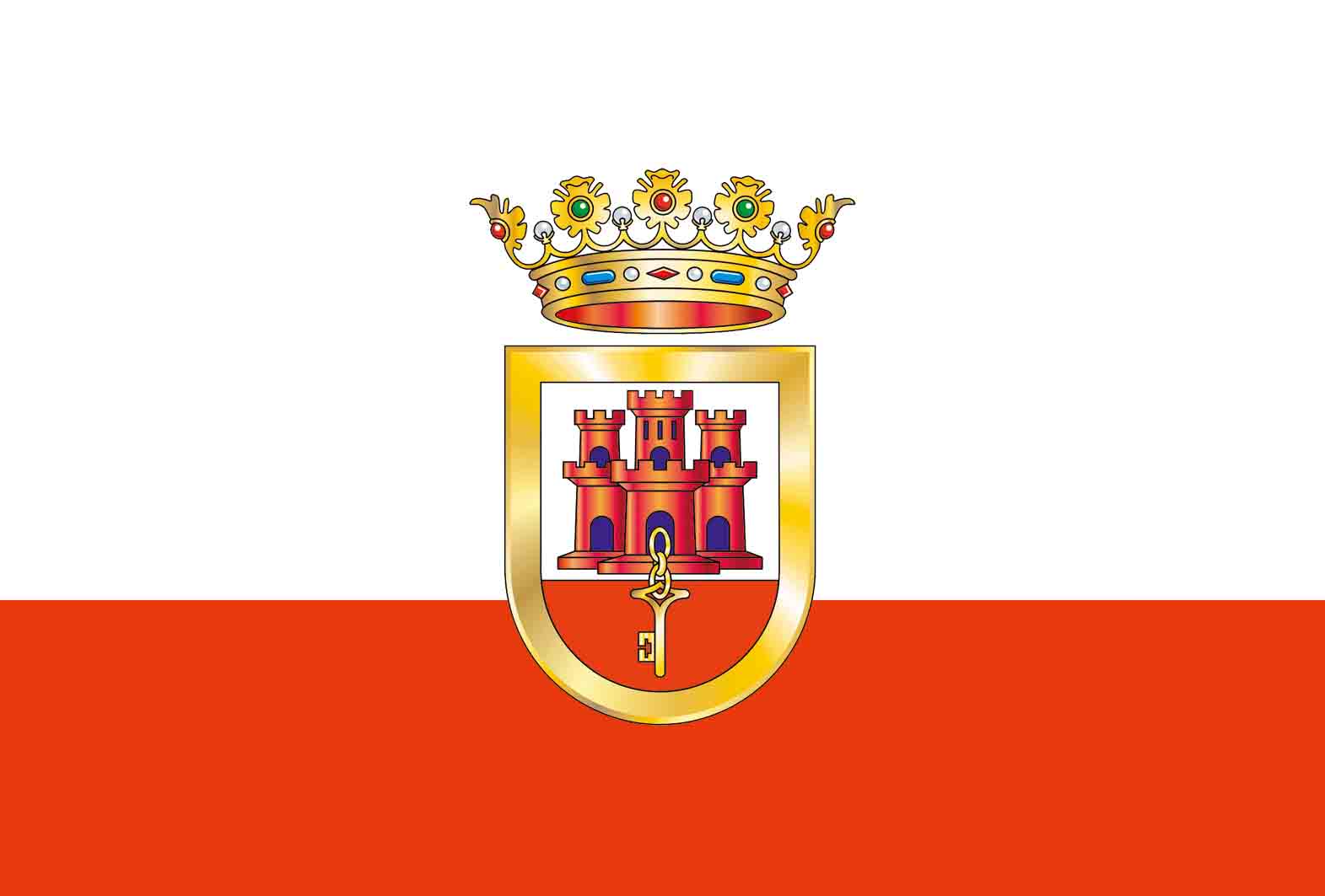 Escudos y Bandera | San Roque