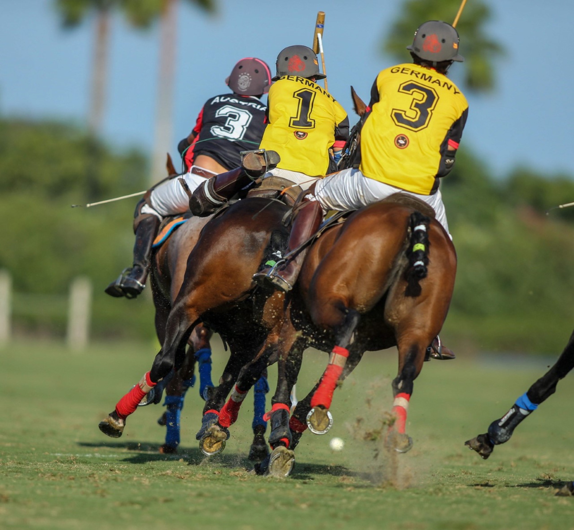 Celebrada en la sede de los Pinos la tercera jornada del XIII ...