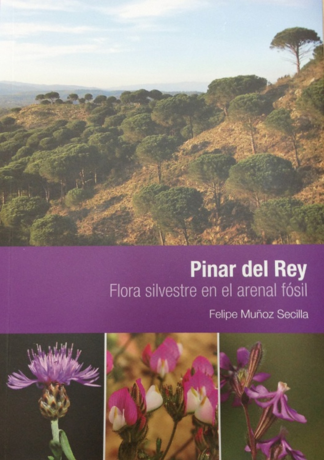 Presentación de una guía sobre la flora del Pinar del Rey, mañana en el ...